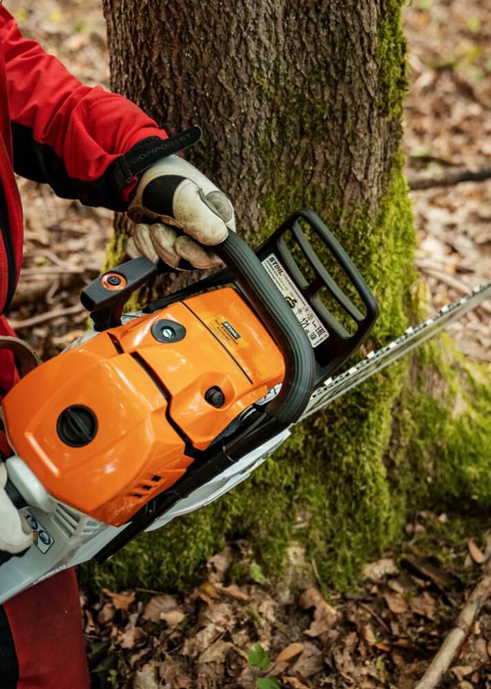 Motorsägenkurse - Wald-MV